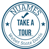 NUAMES | NUAMES Davis Flyby